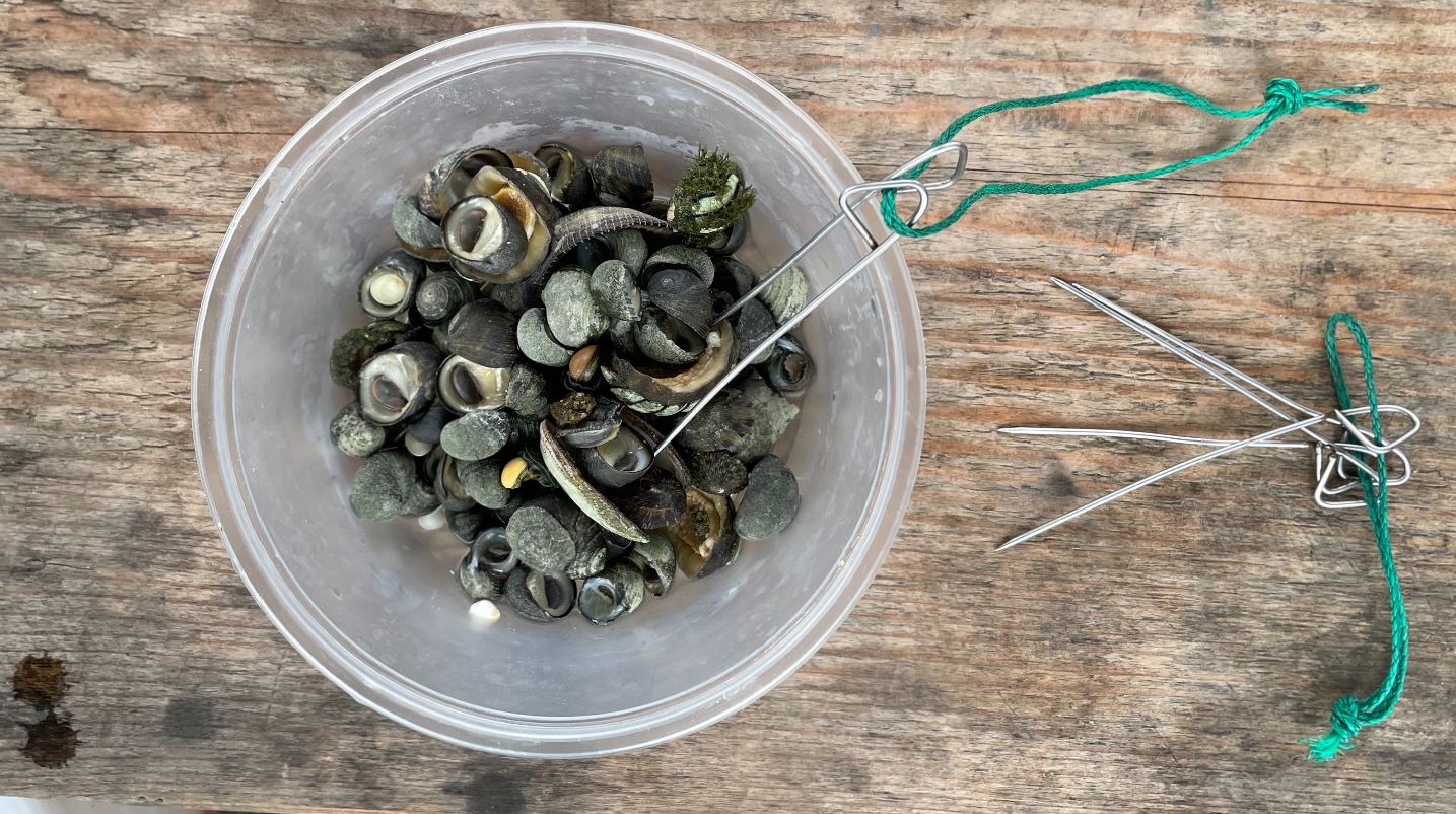 慢食臺東-走田野-阿美族潮間帶採集 ｜慢食台東